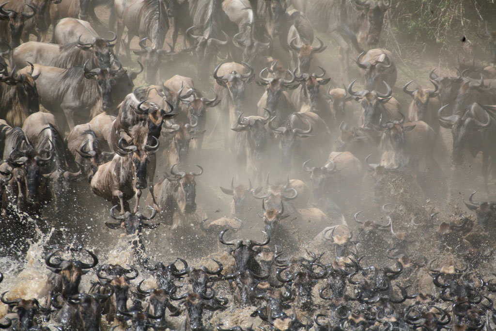 Unearth Experience The Great Migration - Unearth Experience