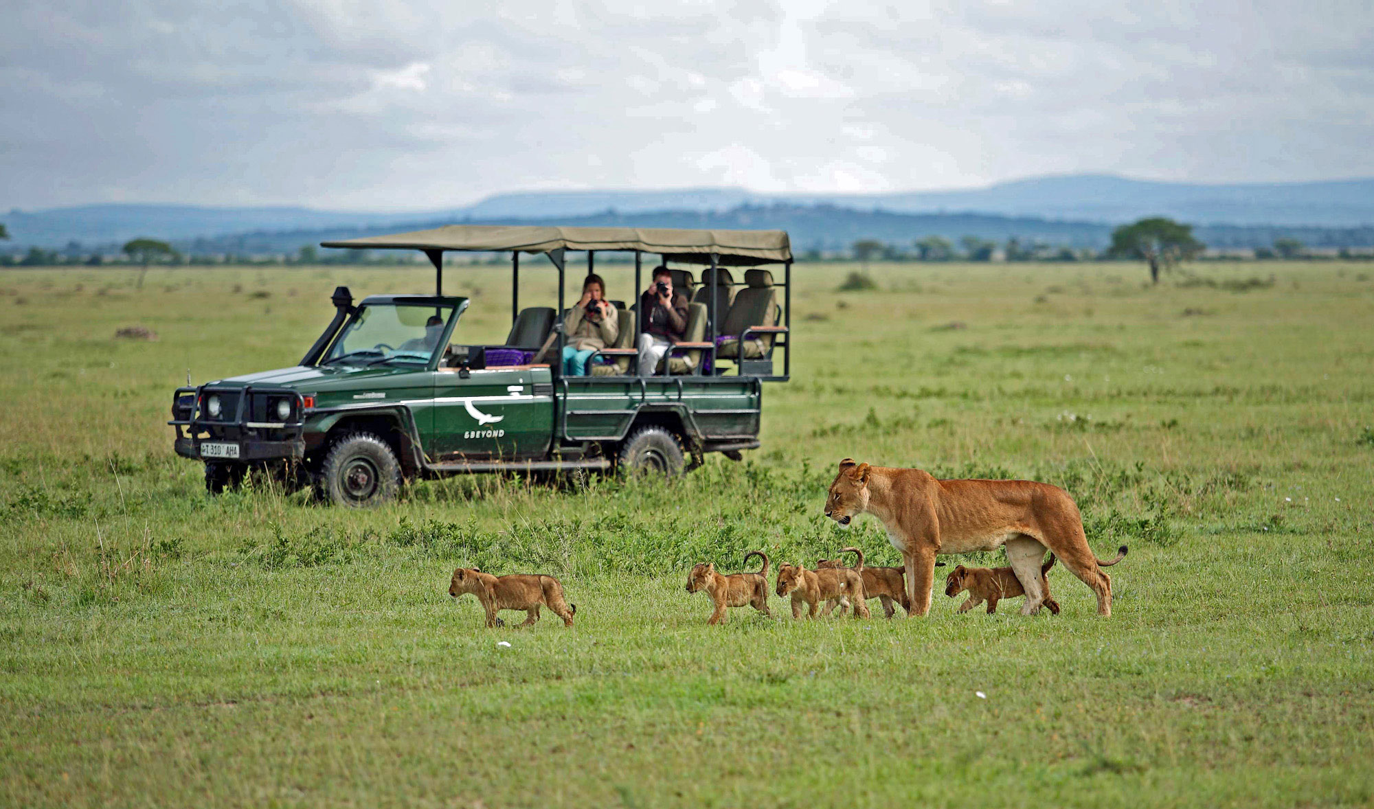 Unearth Experience African Photo Safaris | Unearth Experience