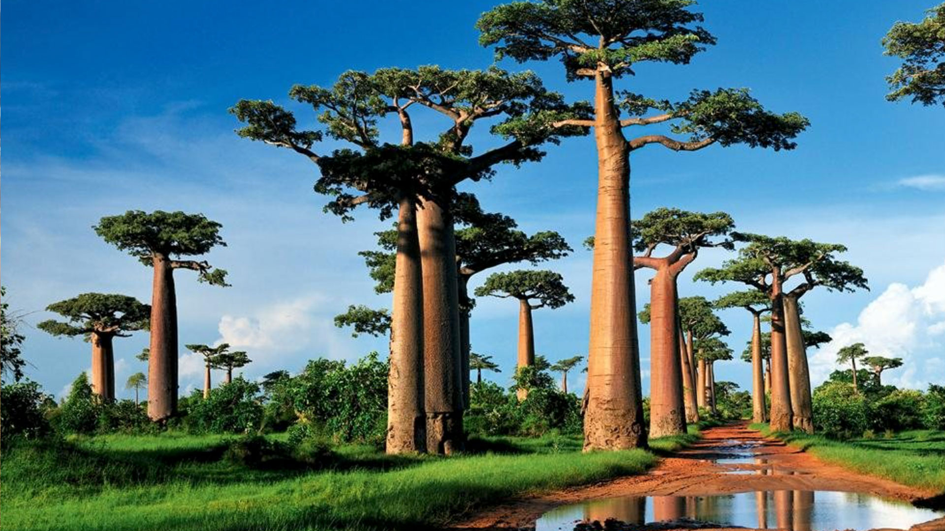 Unearth Experience Madagascar Archives - Unearth Experience