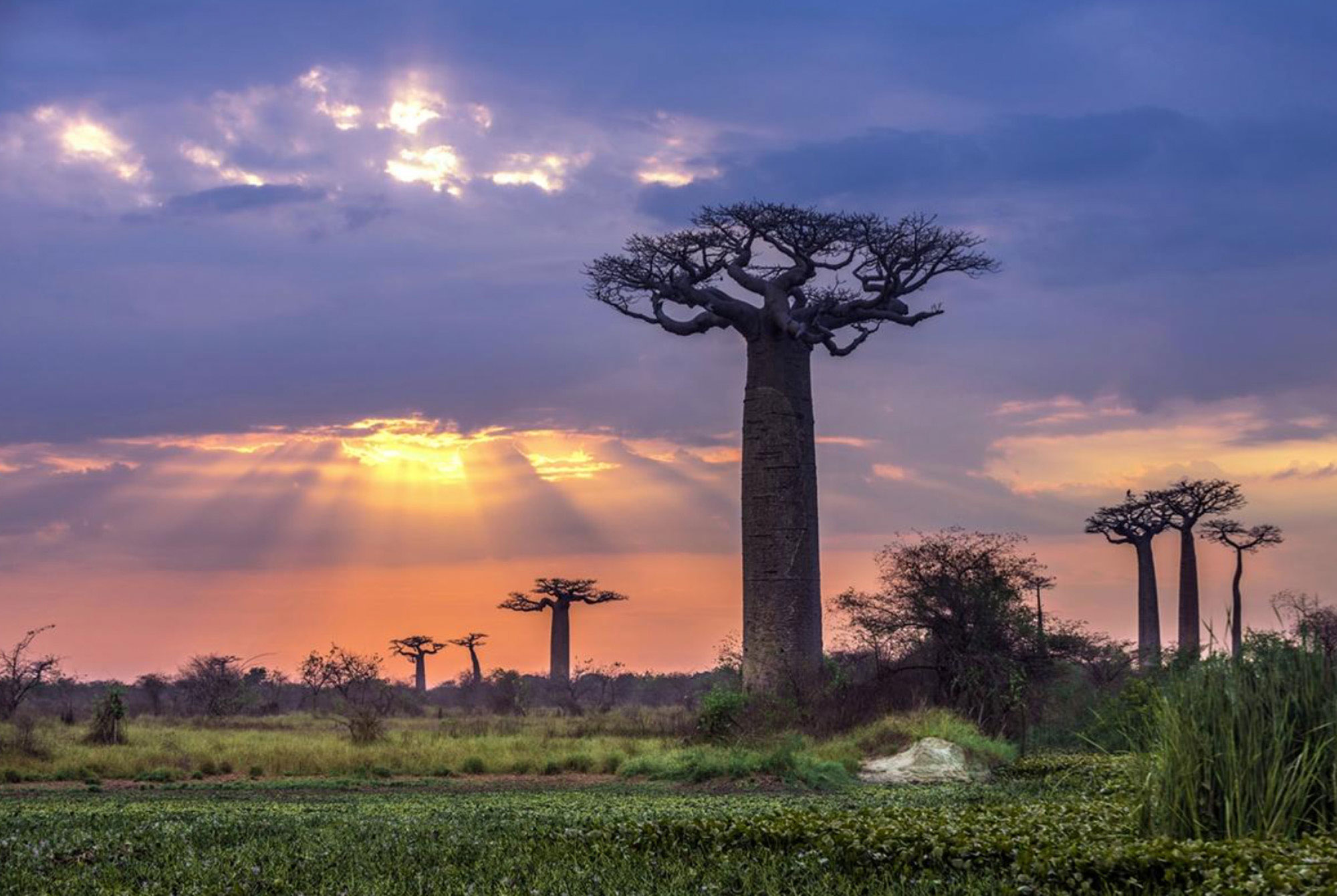 Unearth Experience Escape to Madagascar | Bespoke Travel | Unearth ...