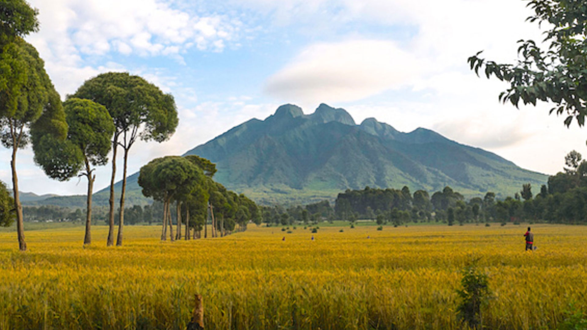 Unearth Experience Rwanda Archives - Unearth Experience